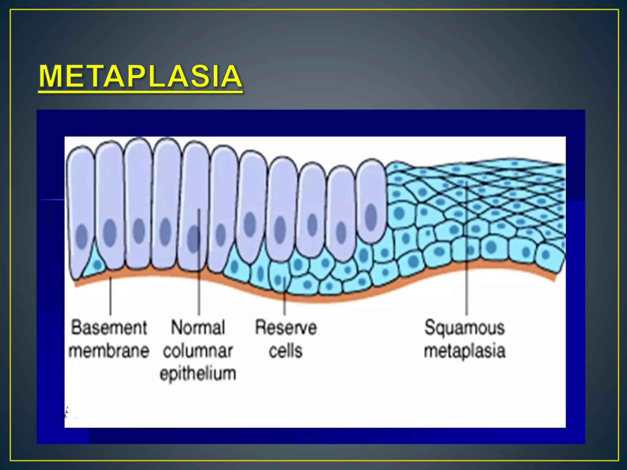 Cellular adaptations | PPTX
