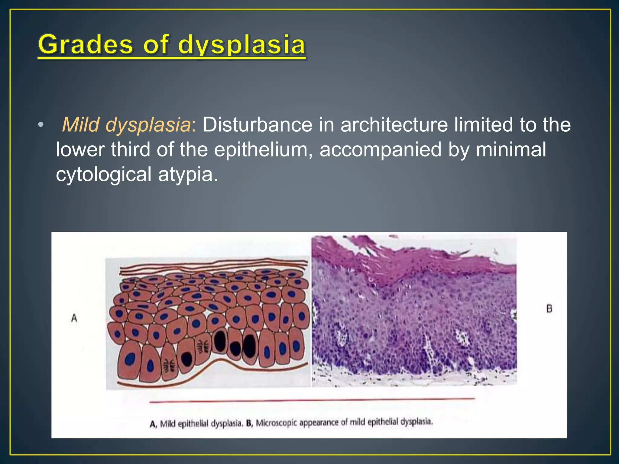 Cellular adaptations | PPTX