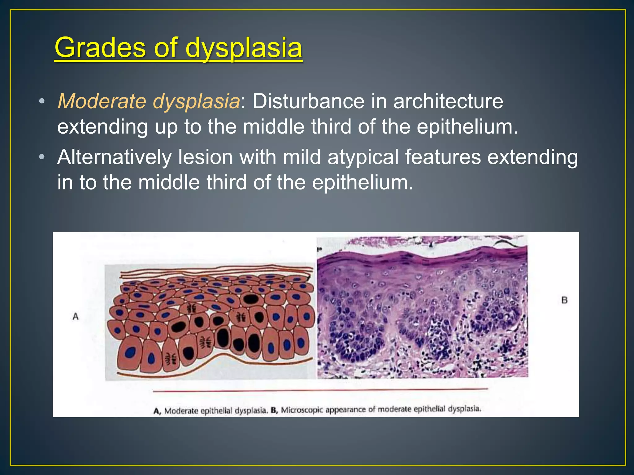 Cellular adaptations | PPTX