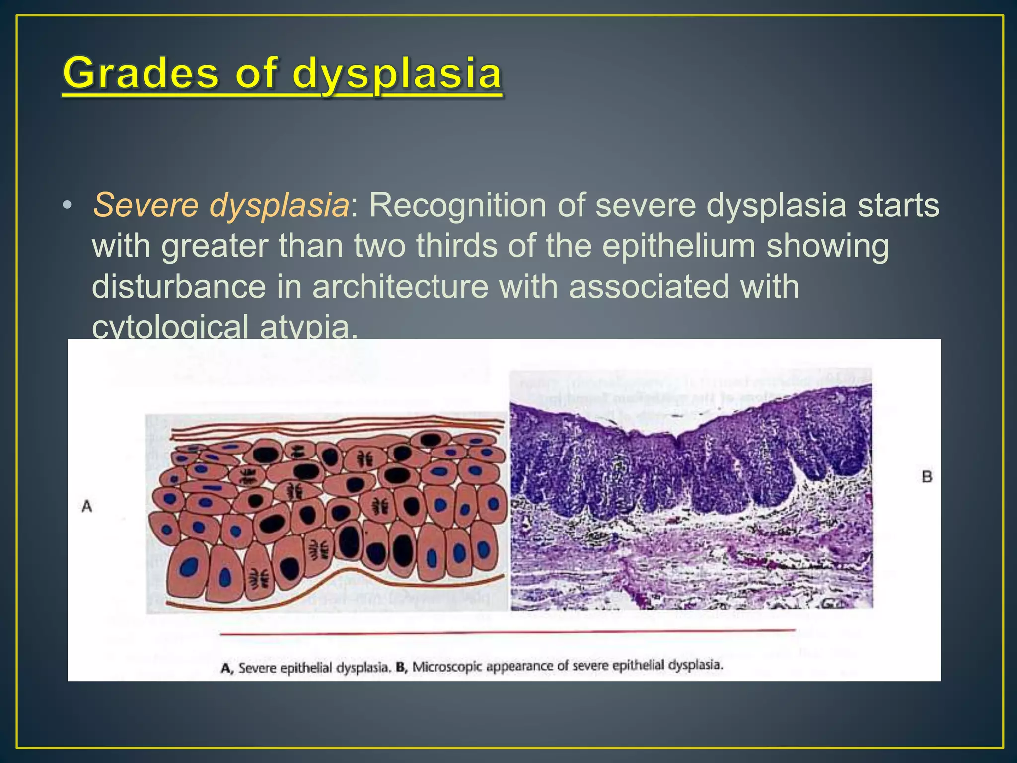 Cellular adaptations | PPTX