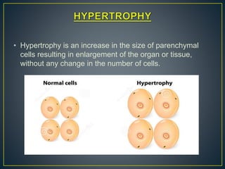 Cellular adaptations | PPTX