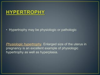 Cellular adaptations | PPTX