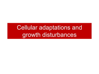 Cellular adaptations | PPT | Free Download