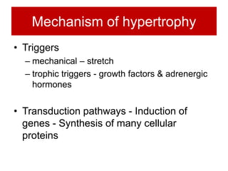Cellular adaptations | PPT