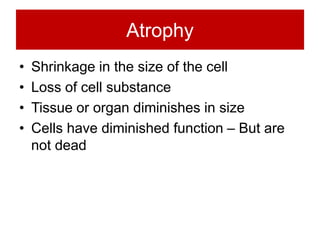Cellular adaptations | PPT | Free Download