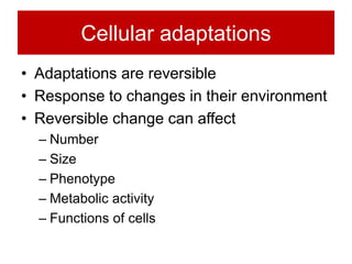 Cellular adaptations | PPT