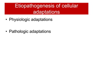 Cellular adaptations | PPT