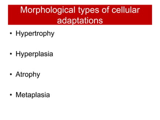 Cellular adaptations | PPT