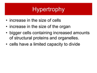 Cellular adaptations | PPT | Free Download