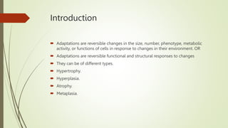 Cellular adaptations.pathology slideshare.pptx