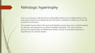 Cellular adaptations.pathology slideshare.pptx