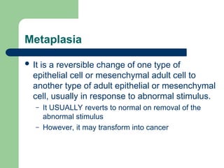 CELLULAR ADAPTATIONS.ppt An introduction | PPT