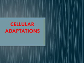Cellular Adaptations for the student of paramedical | PPTX | Endocrine ...