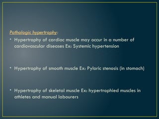 Cellular Adaptations for the student of paramedical | PPTX | Endocrine ...