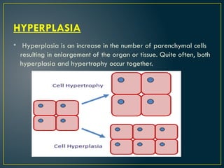 Cellular Adaptations for the student of paramedical | PPTX
