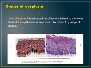 Cellular Adaptations for the student of paramedical | PPTX
