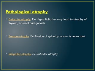 Cellular Adaptations for the student of paramedical | PPTX | Endocrine ...