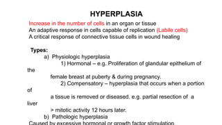 Cellular adaptations - hyperplasia, hypertrophy | PPTX