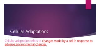 Cellular adaptations & accumulations | PPT