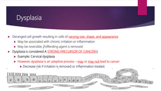 Cellular adaptations & accumulations | PPTX