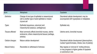 Cellular adaptations & accumulations | PPT