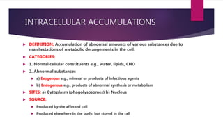 Cellular adaptations & accumulations | PPT