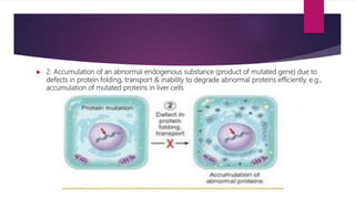 Cellular adaptations & accumulations | PPTX
