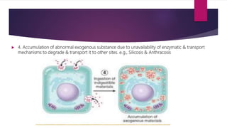 Cellular adaptations & accumulations | PPT