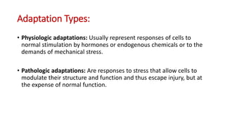 Cellular adaptations and growth disturbances | PPT