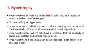Cellular adaptations and growth disturbances | PPTX