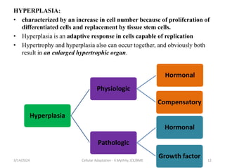 CELLULAR ADAPTATIONS OF GOWTH AND DIFFERRENTIATION.ppt