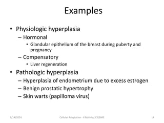 CELLULAR ADAPTATIONS OF GOWTH AND DIFFERRENTIATION.ppt