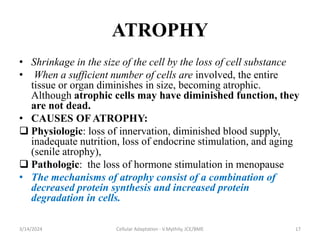 CELLULAR ADAPTATIONS OF GOWTH AND DIFFERRENTIATION.ppt