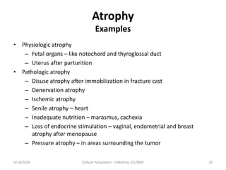 CELLULAR ADAPTATIONS OF GOWTH AND DIFFERRENTIATION.ppt