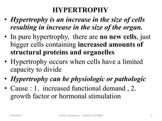 CELLULAR ADAPTATIONS OF GOWTH AND DIFFERRENTIATION.ppt