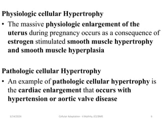 CELLULAR ADAPTATIONS OF GOWTH AND DIFFERRENTIATION.ppt