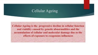 Cellular ageing | PPTX