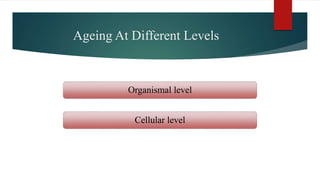 cellularageing-200601173158 (1).pdf