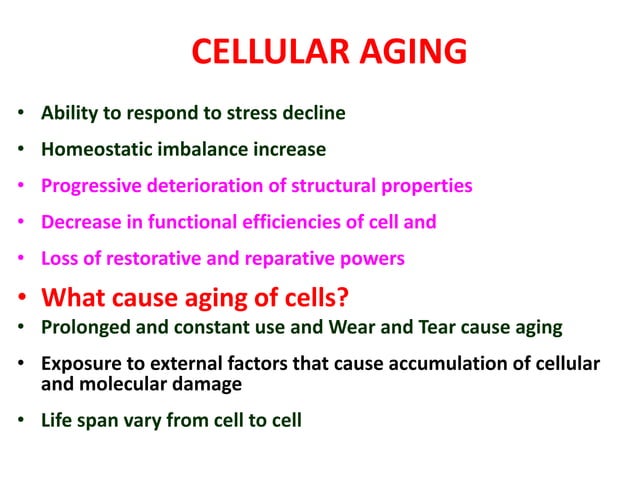 Cellular ageing | PPTX | Genetics | Science
