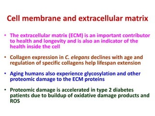 Cellular ageing | PPTX