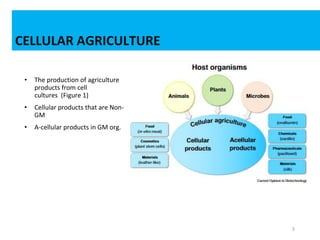 Cellular agriculture- Industrial biotechnology for food and materials ...