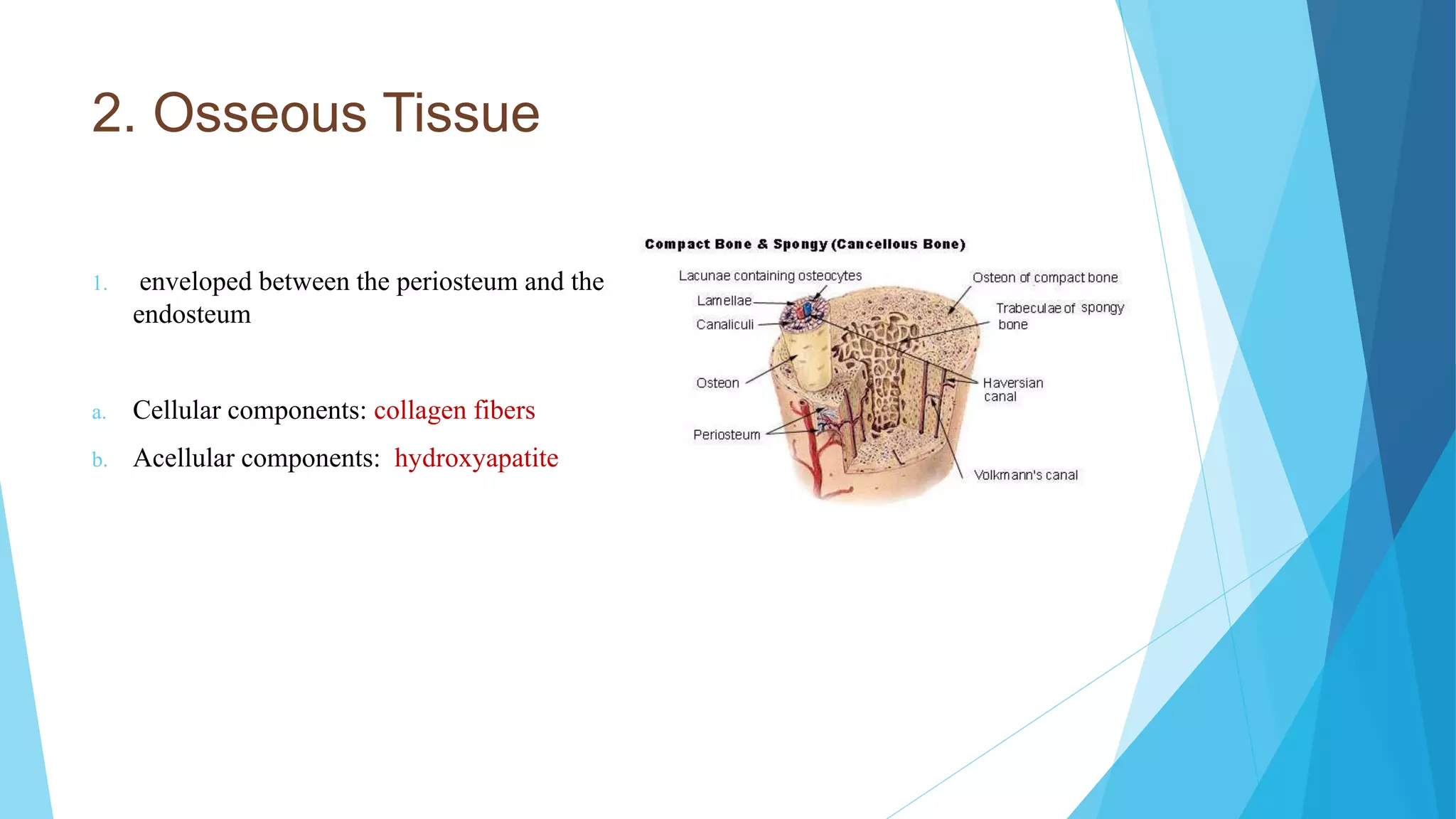 Cellular and acellular components of bone | PPTX