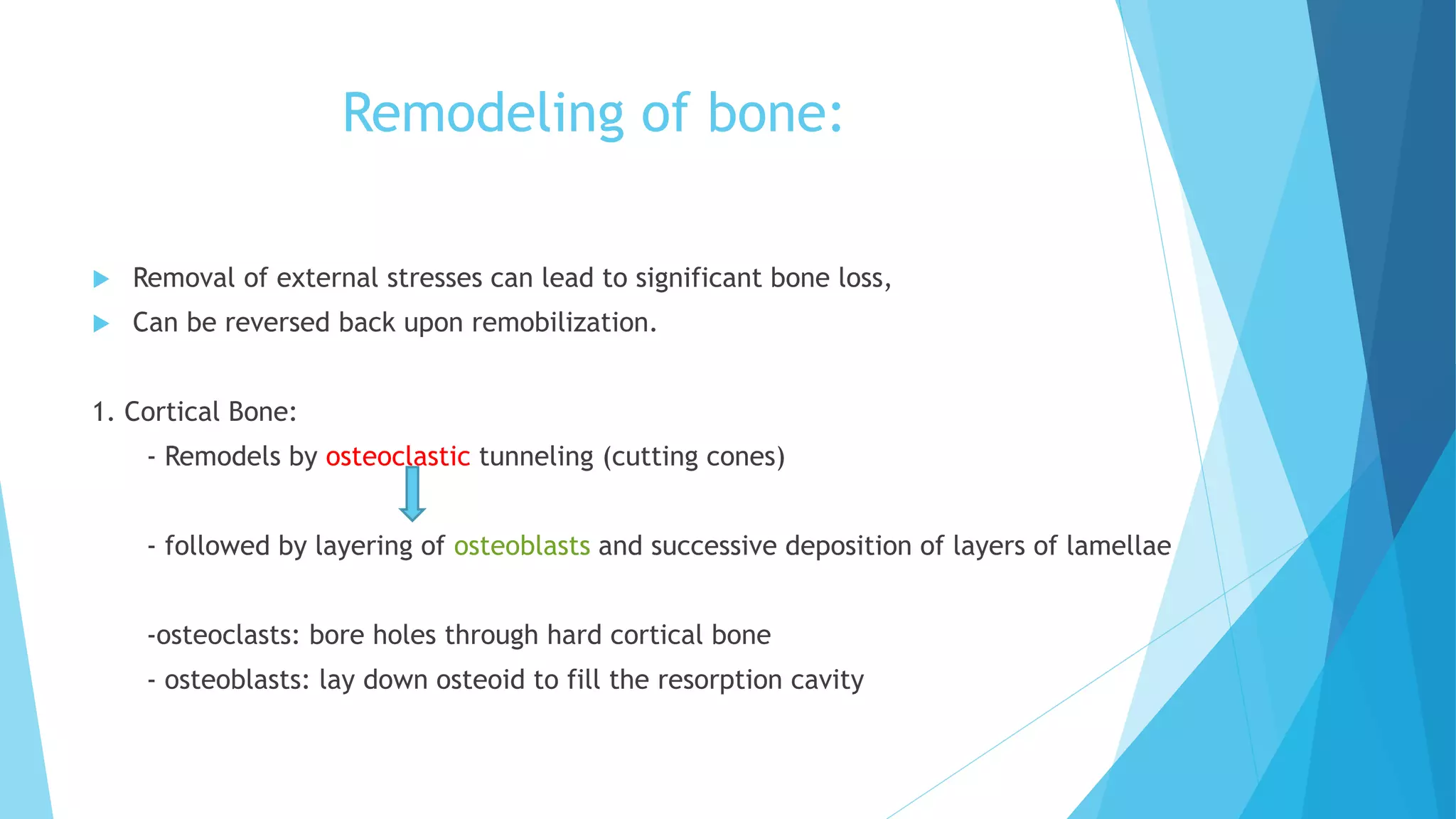 Cellular and acellular components of bone | PPTX