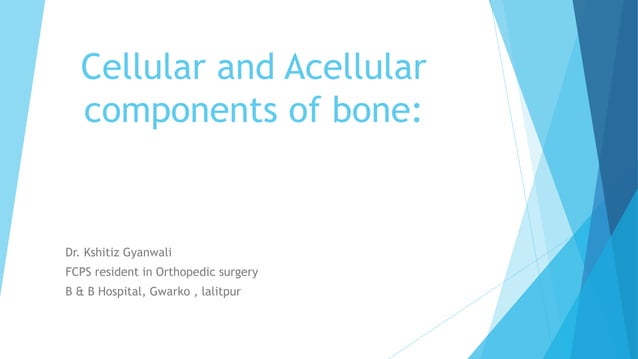 Cellular and acellular components of bone | PPT