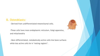Cellular and acellular components of bone | PPT