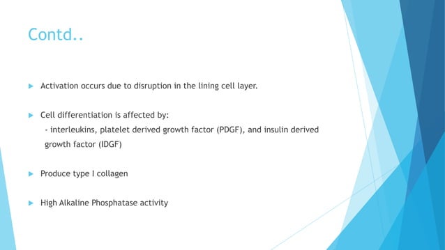 Cellular and acellular components of bone | PPT