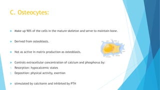 Cellular and acellular components of bone | PPT