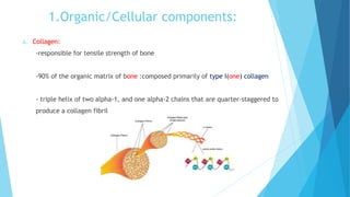 Cellular and acellular components of bone | PPTX