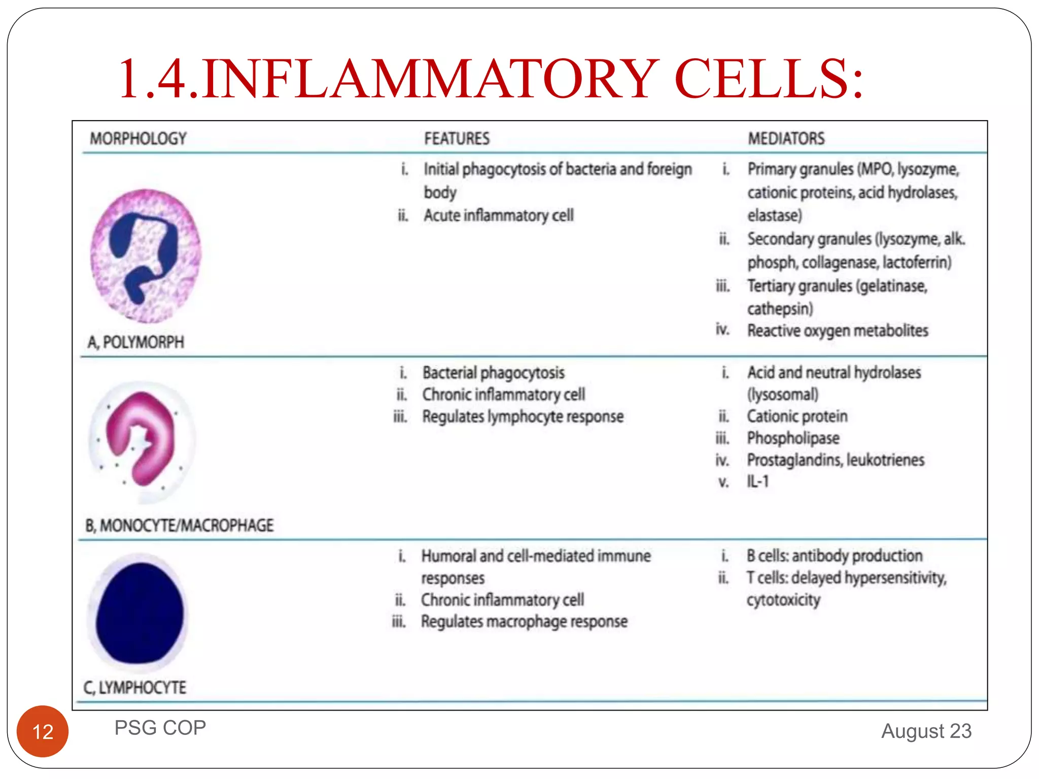 Cellular and biochemical mediators of Inflammation.pptx