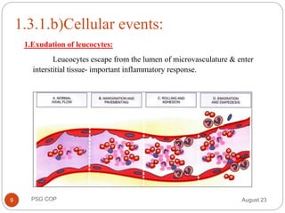 Cellular and biochemical mediators of Inflammation.pptx